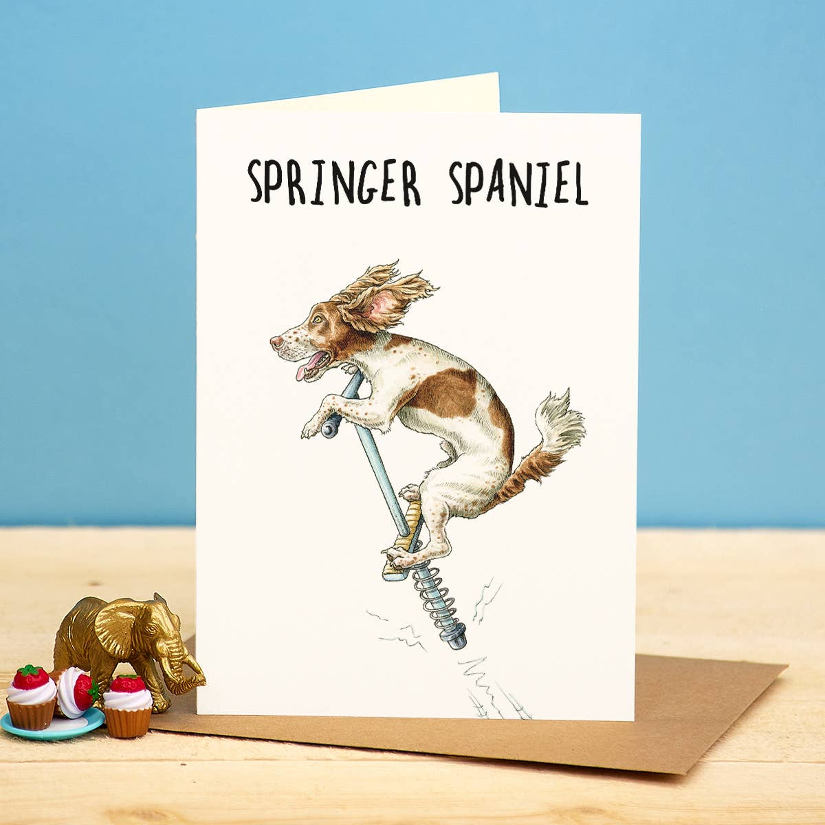 Springer Spaniel Card - Everyday Card - Funny – Cheshire Country Store
